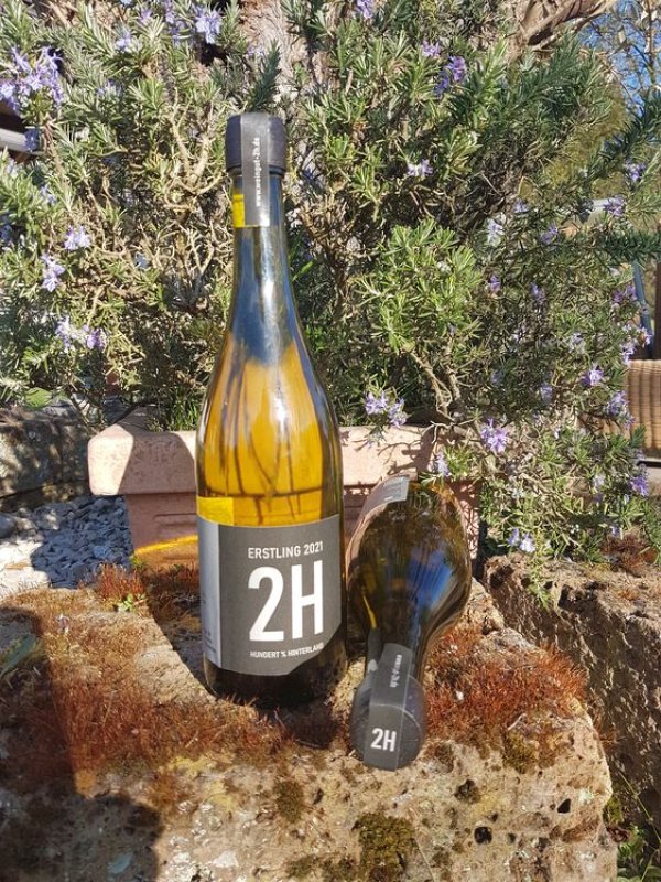 Weingut 2 H Weintouren Biowein